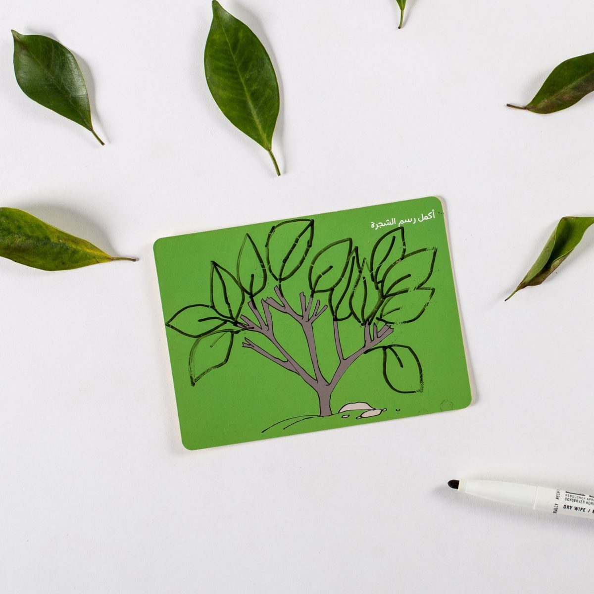 Flashcards for kids - Million Kilo Card